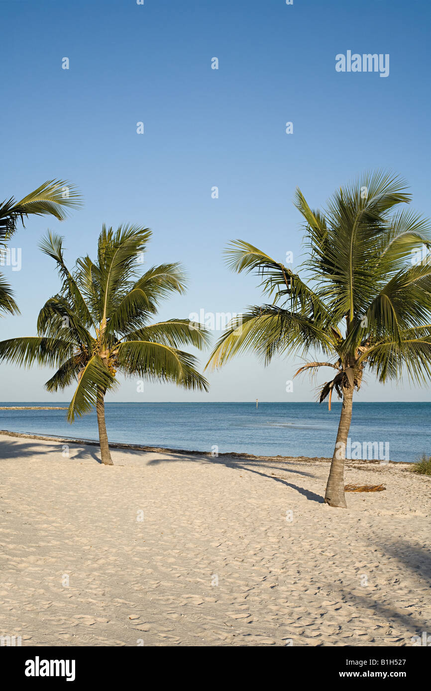 Idyllic beach hi-res stock photography and images - Alamy