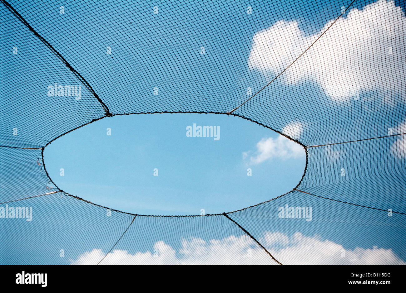 The net hi-res stock photography and images - Alamy