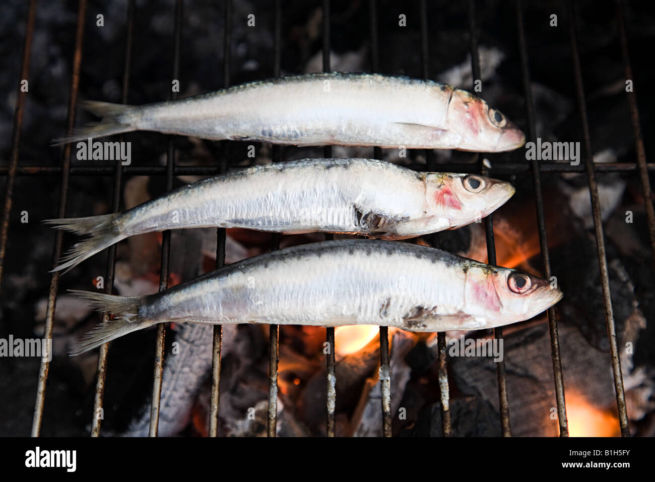 Fish on barbecue Stock Photo - Alamy