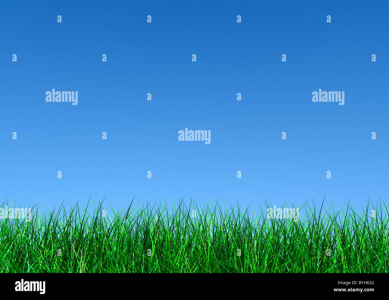 Blue sky over grass Stock Photo - Alamy