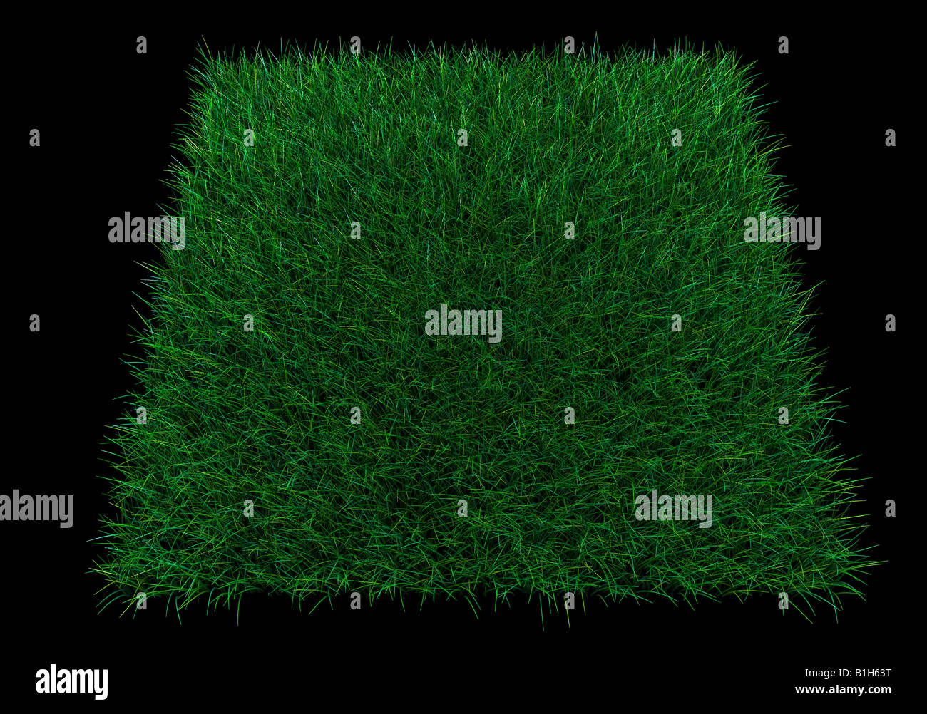 Square patch of grass Stock Photo - Alamy