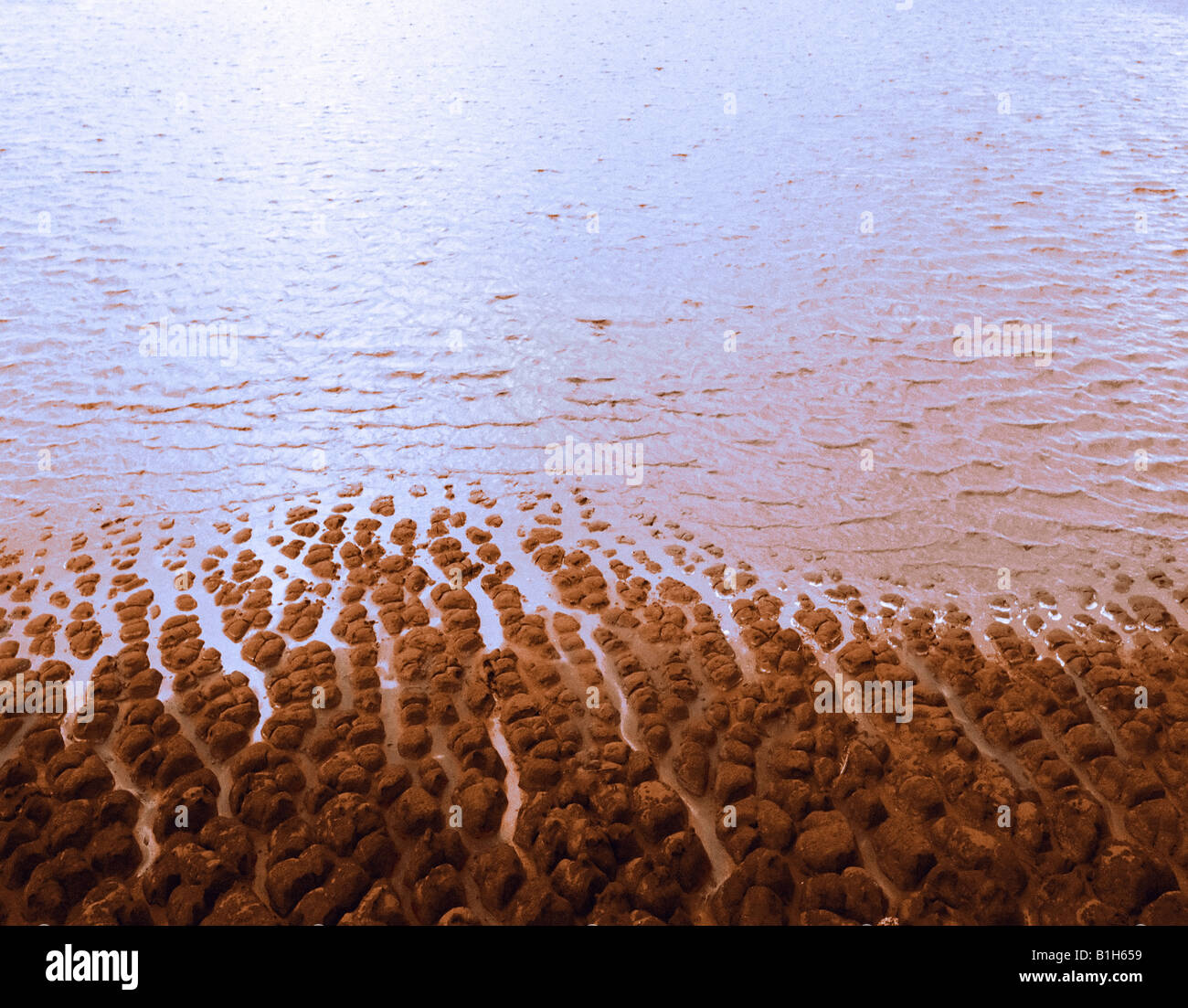 Soil Formation High Resolution Stock Photography and Images - Alamy
