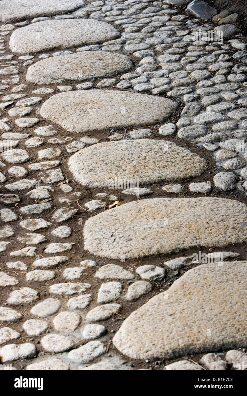 Stone footpath in a garden, Hama Rikyu Gardens, Tokyo Prefecture, Japan ...
