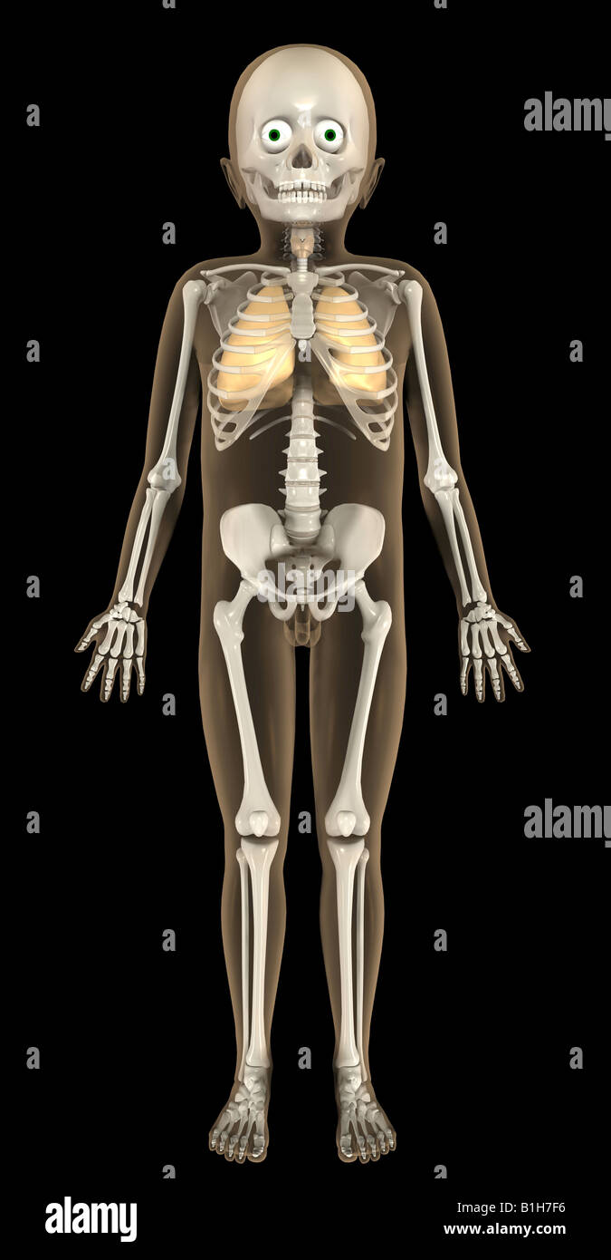 anatomy child with lungs Stock Photo - Alamy