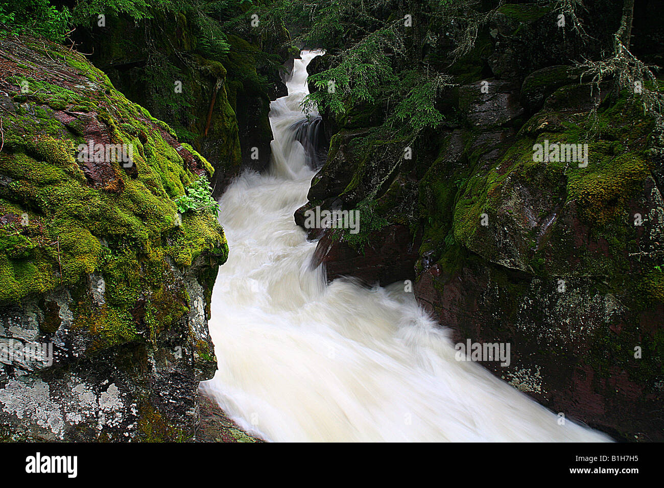 River flowing between rocks, Avalanche Gorge, US Glacier National Park ...