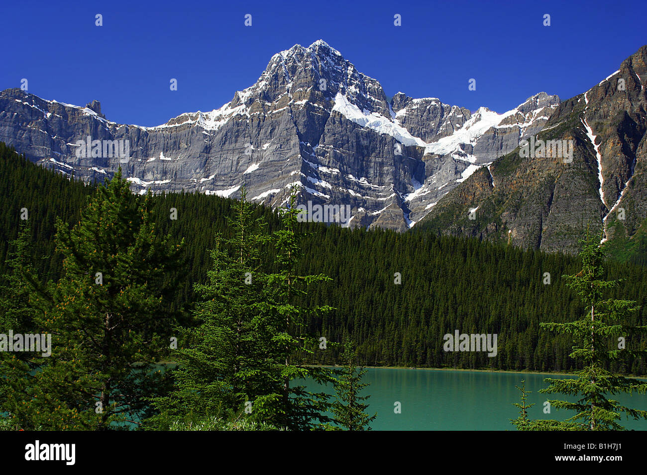 Lake in front of mountains, Castleguard Mountain, Jasper National Park ...