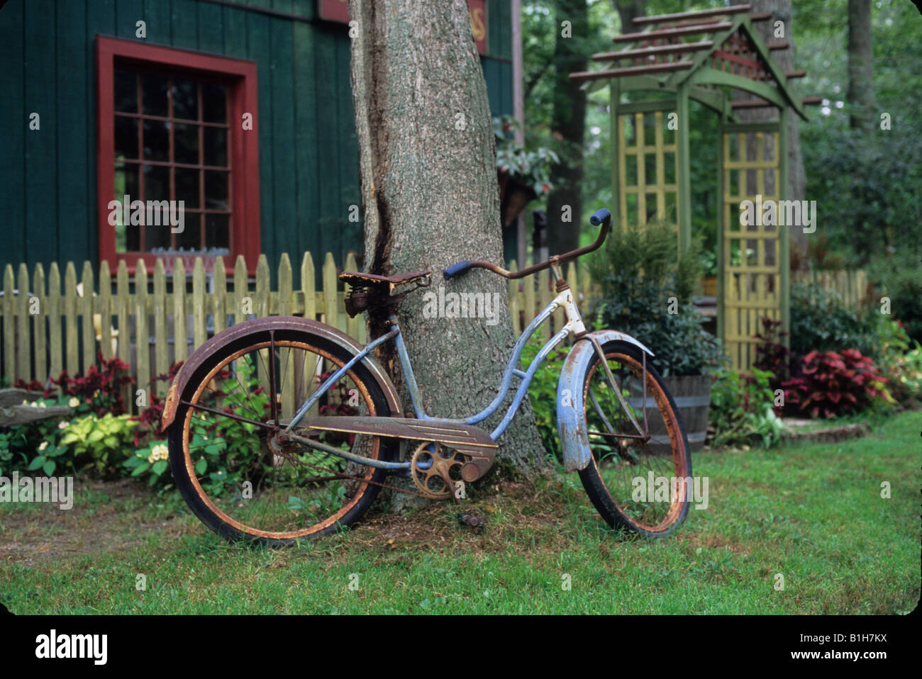 Bicycle leaning on a tree in front of a building, New York State, USA ...
