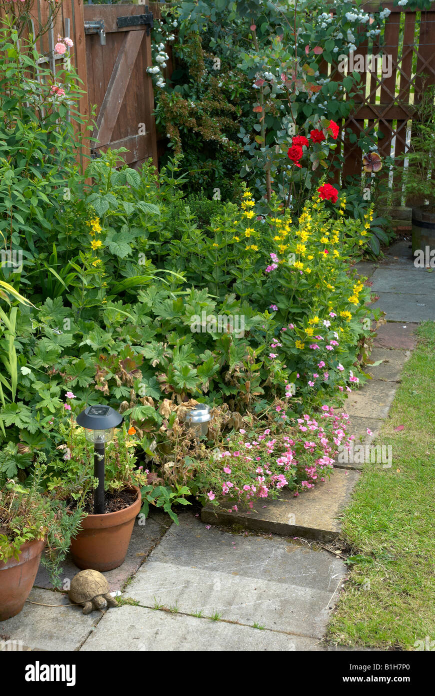Section of a summer garden under shade Stock Photo - Alamy
