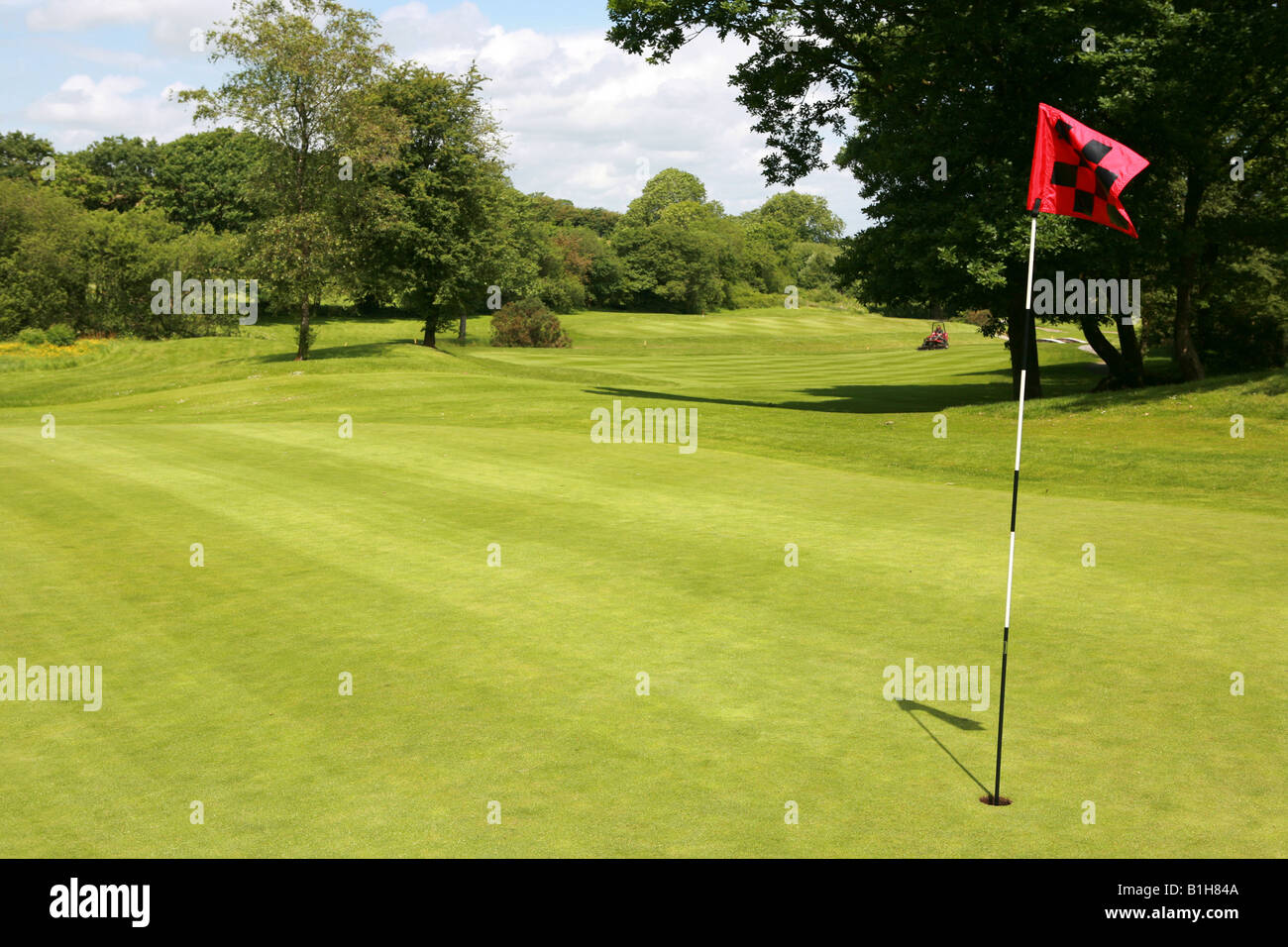 Closeup of golf course putting green hole pin with bright red and black ...