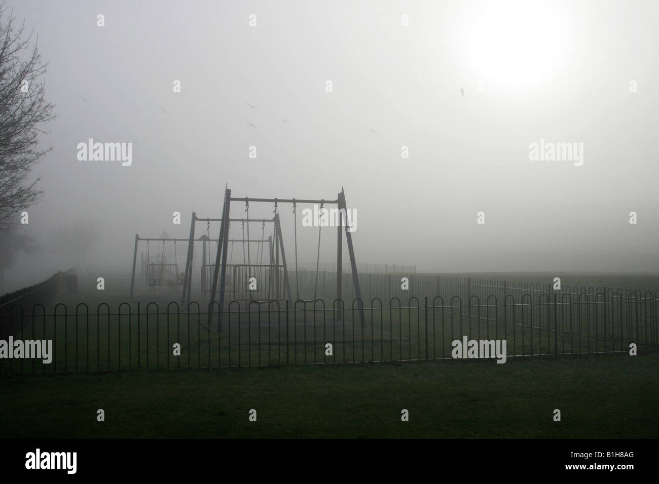 Foggy morning on a playground in a park Stock Photo - Alamy