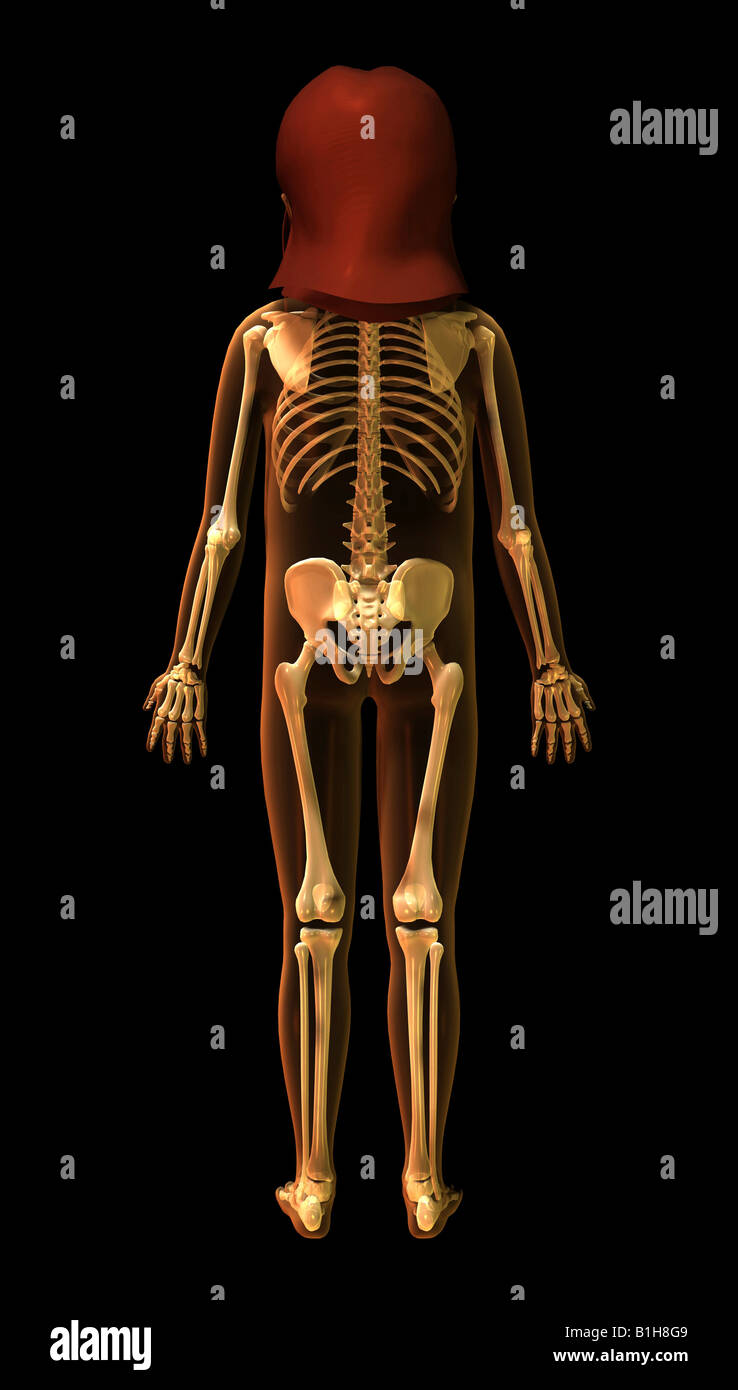 Female shoulder anatomy hi-res stock photography and images - Alamy