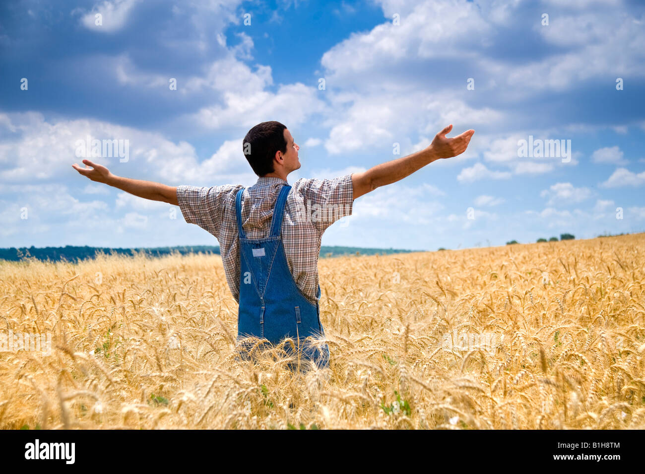farmer standing in a wheat field with his arms spread out Stock Photo ...