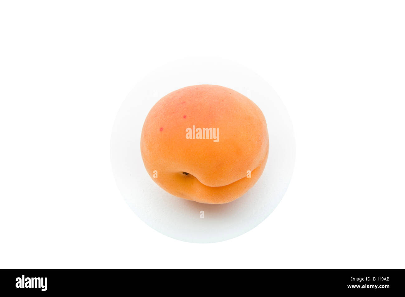 singel apricot isolated on white Stock Photo - Alamy