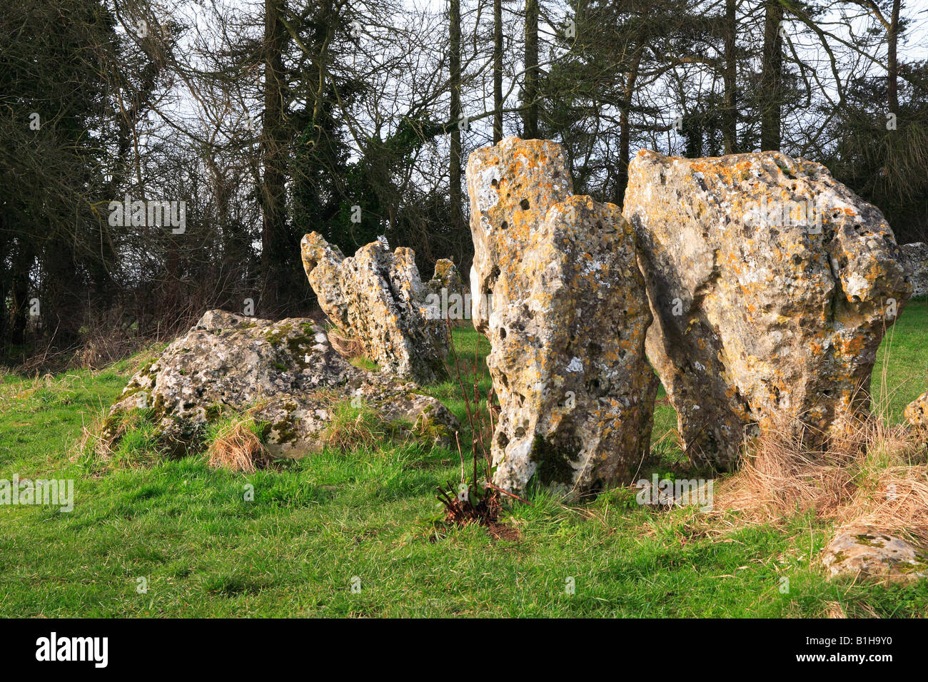 Rollright Stones Megalith Monument The Cotswolds England Stock Photo ...