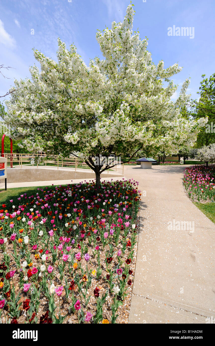 Downtown battle creek michigan hi-res stock photography and images - Alamy