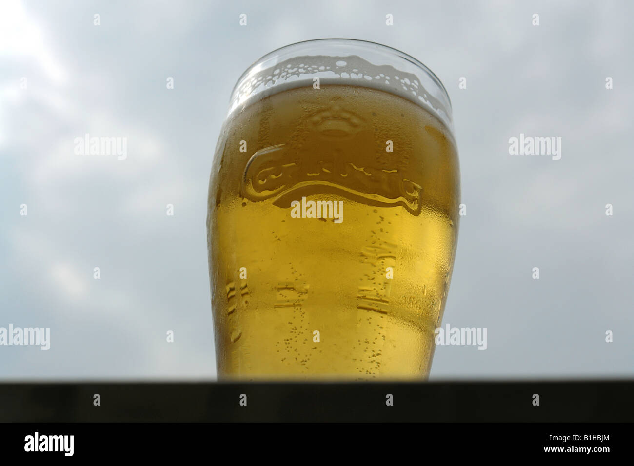 Beer pint carlsberg lager hi-res stock photography and images - Alamy