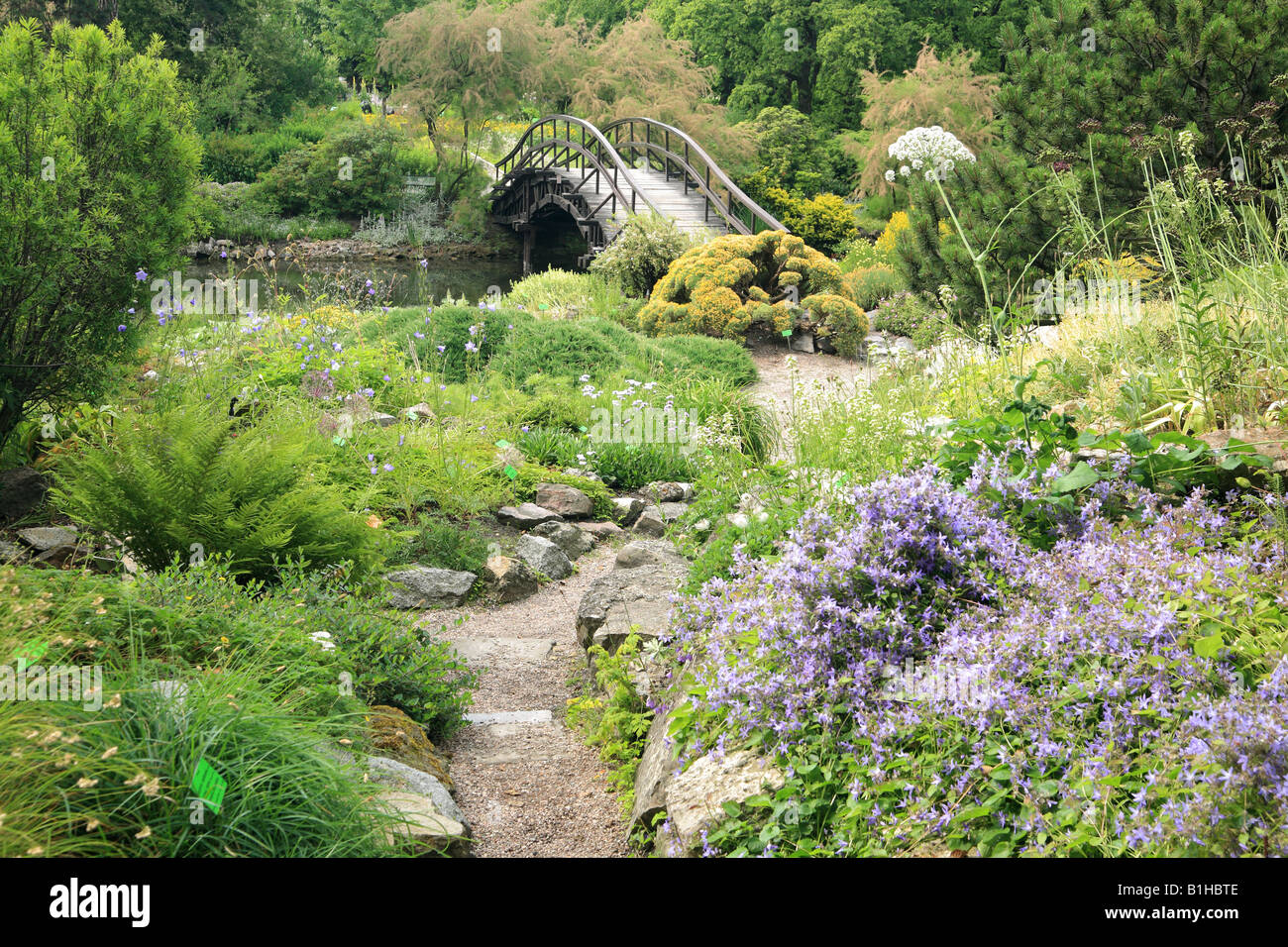 The lush greenery of June Stock Photo - Alamy