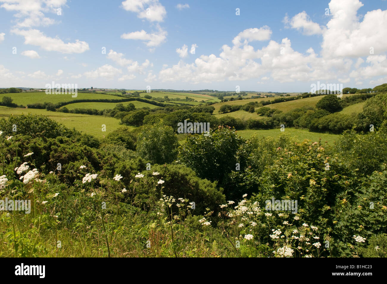 Scenic view across fileds in mid-Cornwall on a summer day Stock Photo ...
