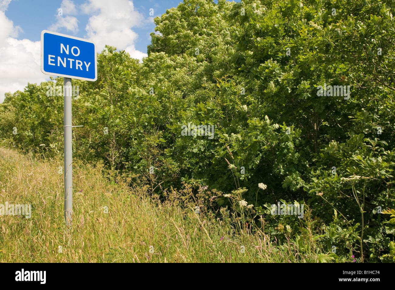 No entry sign in front of a hedge Stock Photo - Alamy
