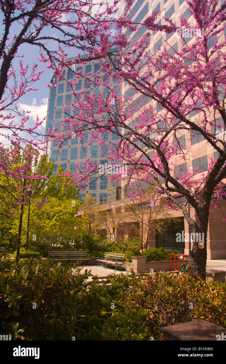 Gallivan center in downtown salt hi-res stock photography and images ...