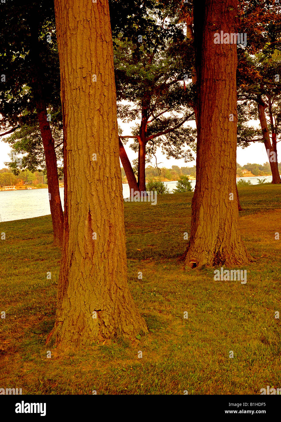 Shady hollow hi-res stock photography and images - Alamy