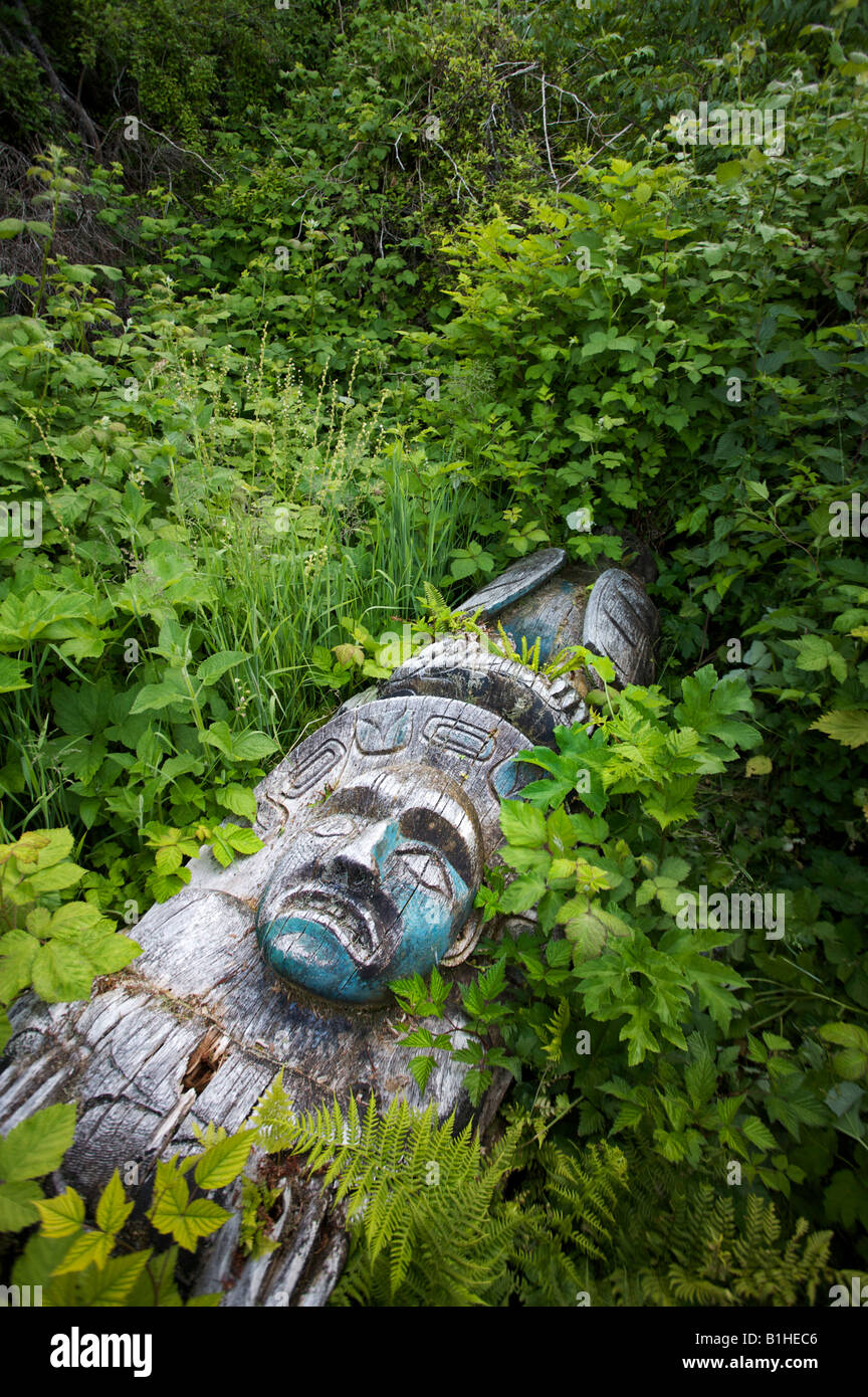 Friendly cove hi-res stock photography and images - Alamy