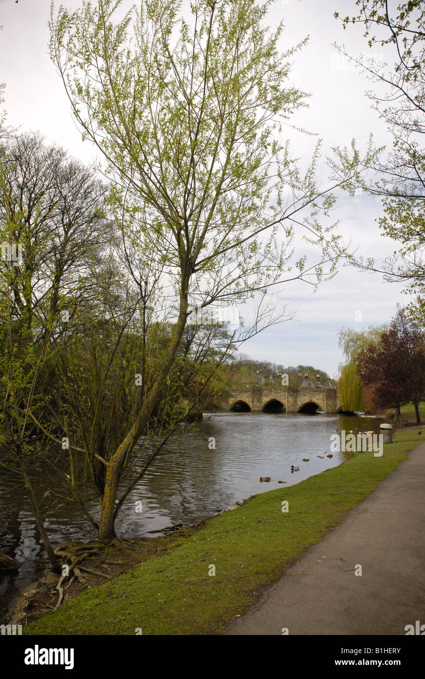 The riverbank at Bakewell Stock Photo - Alamy