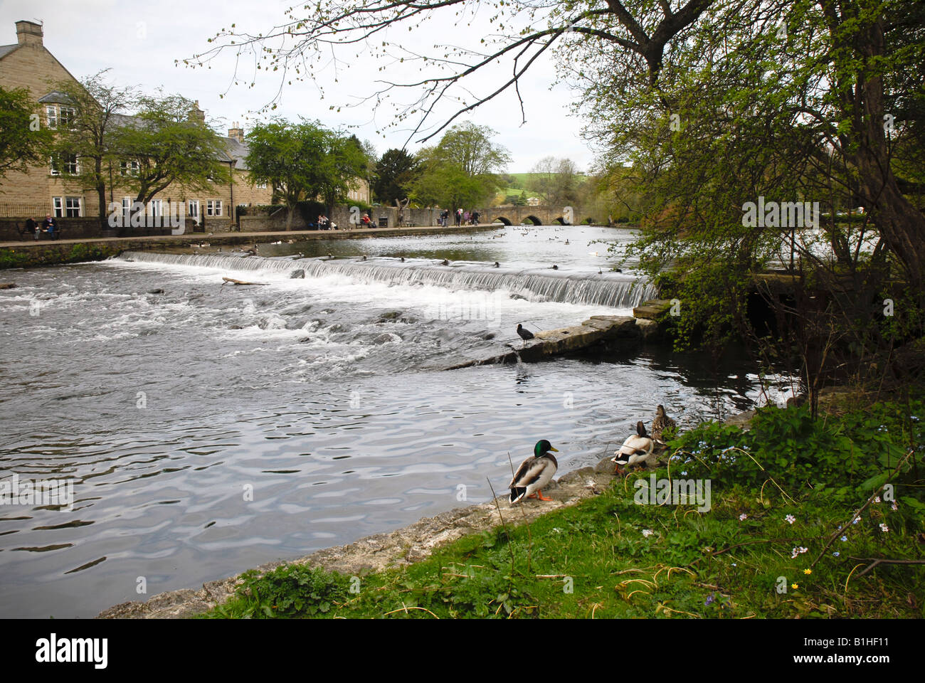 Small Weir on the River Wye at Bakewell in the Derbyshire Peak District ...