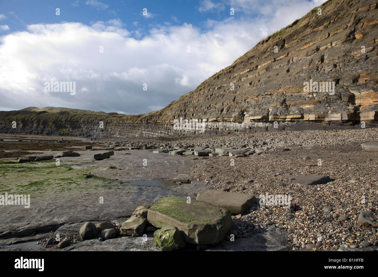 Cliffs at Kimmeridge Bay Dorset UK Stock Photo - Alamy