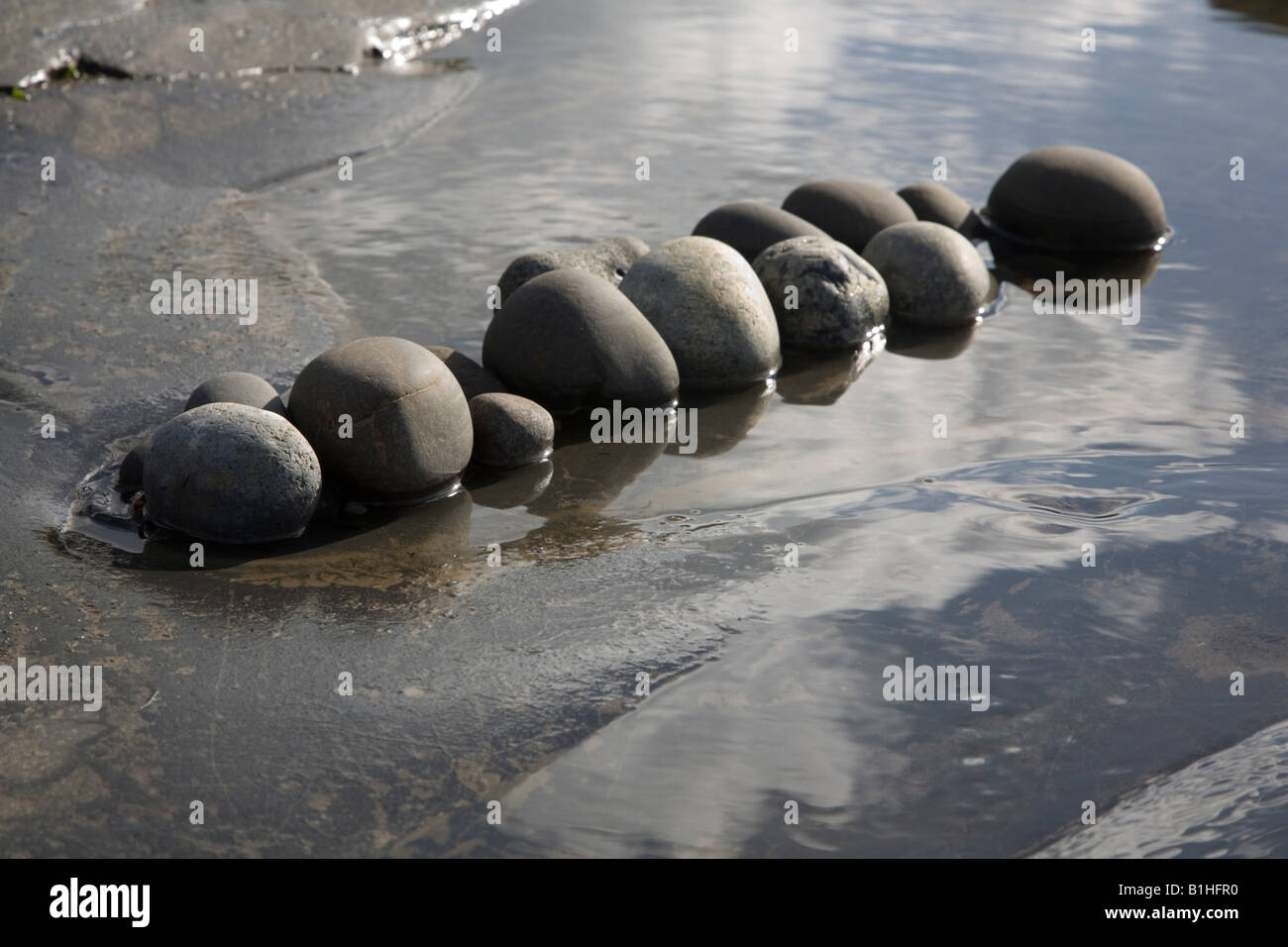 A line of pebbles on Kimmeridge Ledges Purbeck Dorset UK Stock Photo ...