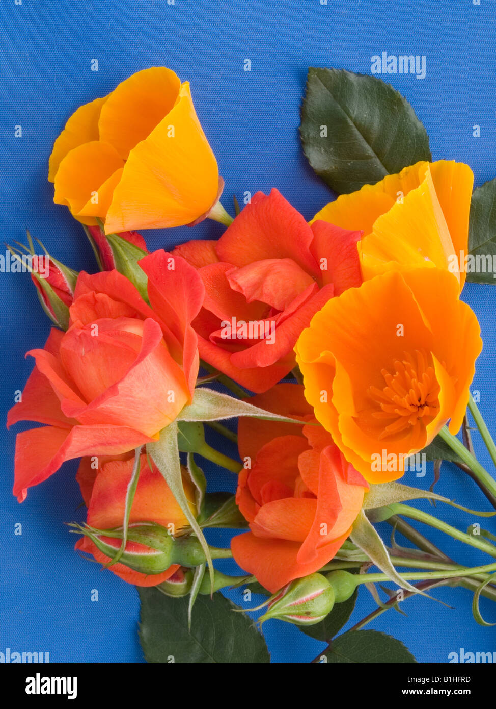 posy red roses poppies Stock Photo - Alamy