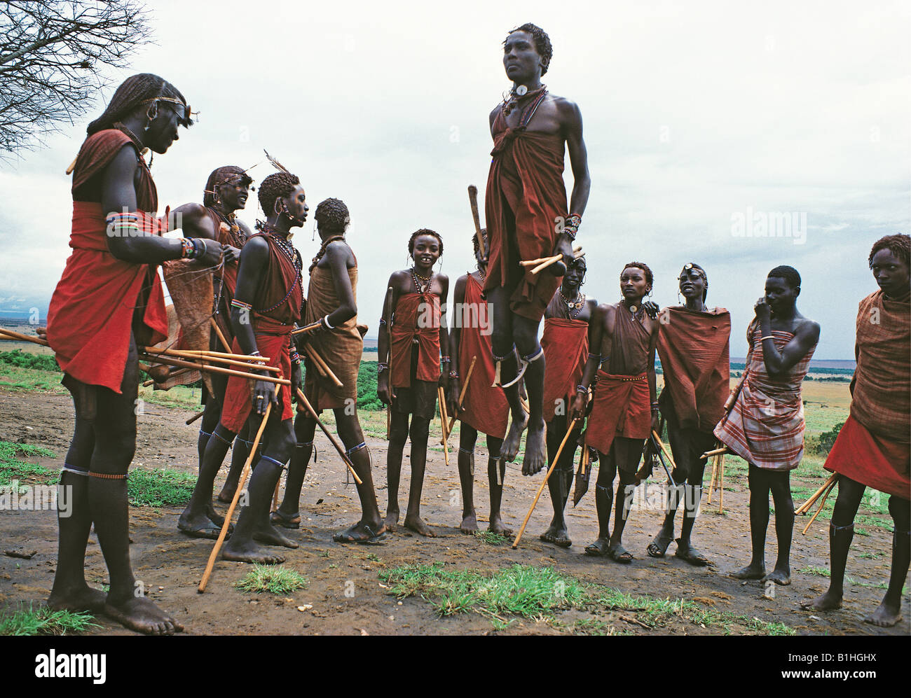 Maasai moran warriors enjoy their famous traditional jumping dance ...