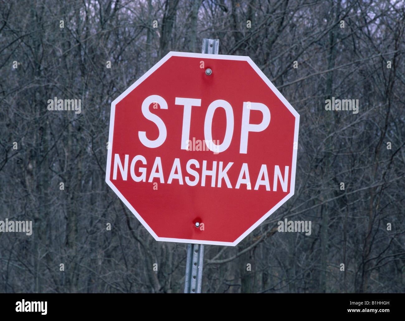 Stop sign in English and Ojibwe Stock Photo - Alamy