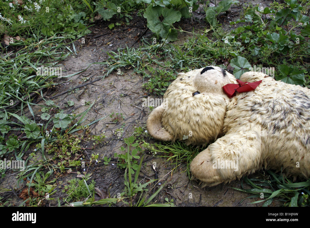 one dirty teddy bear left in long grass in field Stock Photo - Alamy