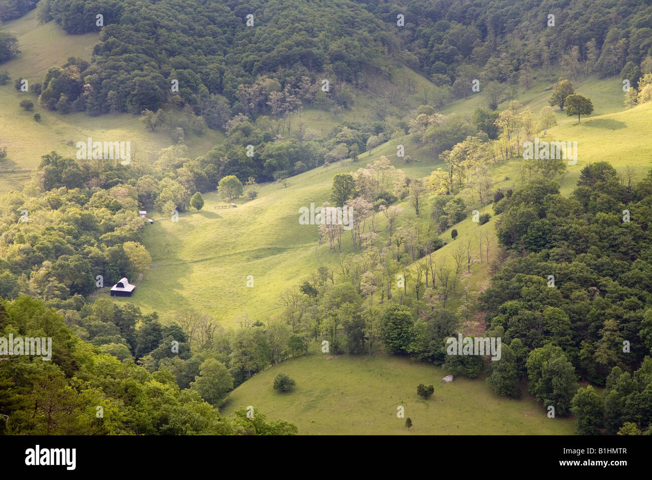 Seneca Rocks West Virginia A West Virginia valley from the top of ...