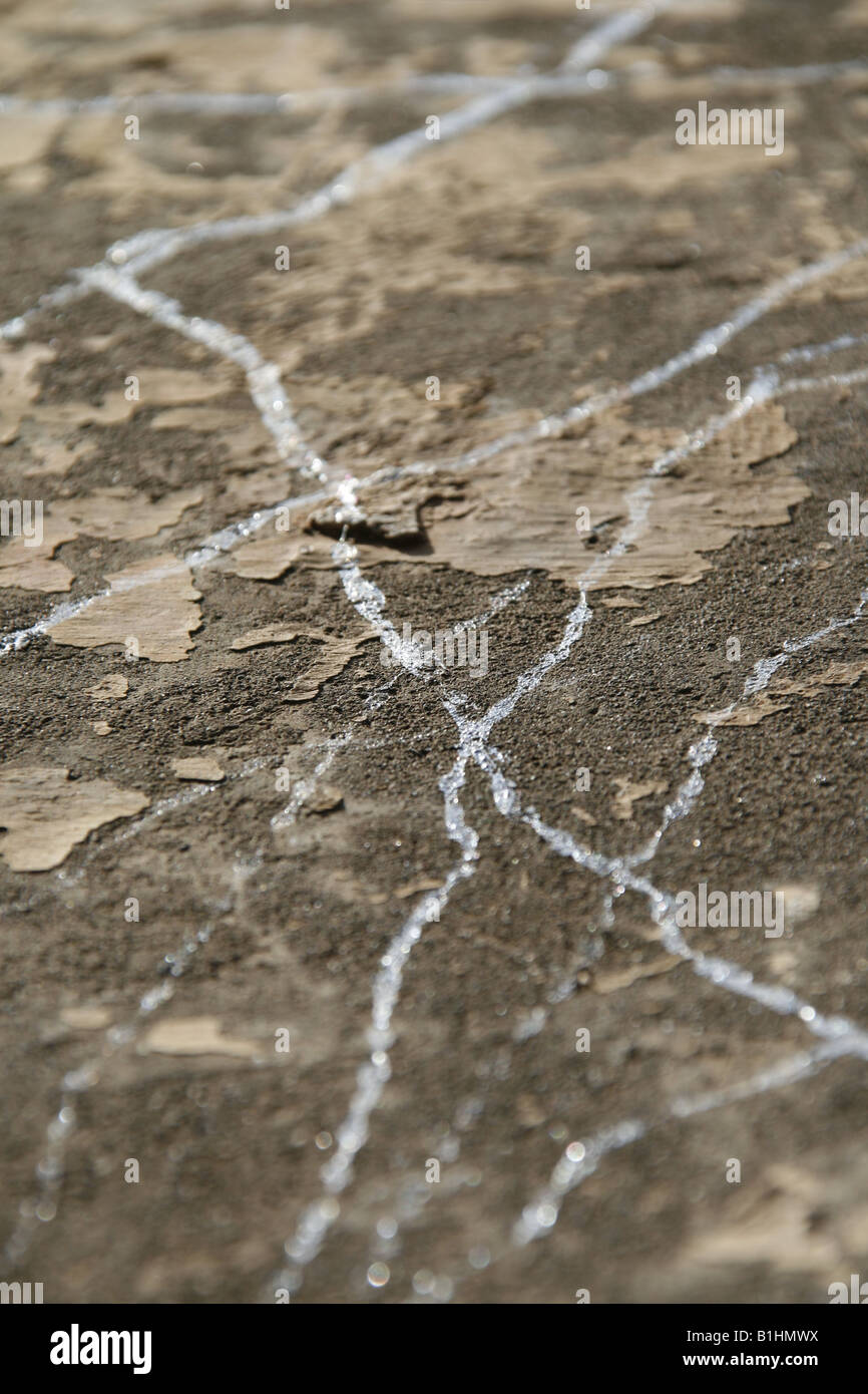 snail path tracks on wall surface Stock Photo - Alamy