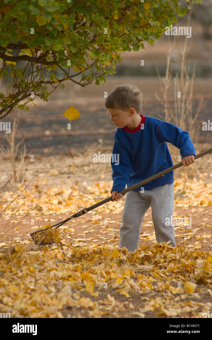 Boy raking leaves Stock Photo - Alamy