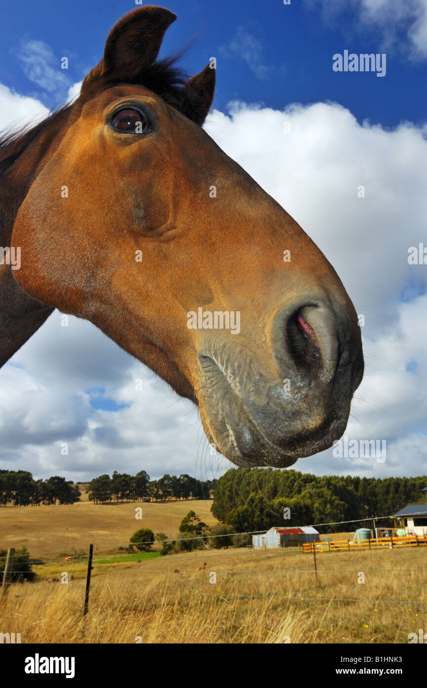 Low viewpoint hi-res stock photography and images - Alamy