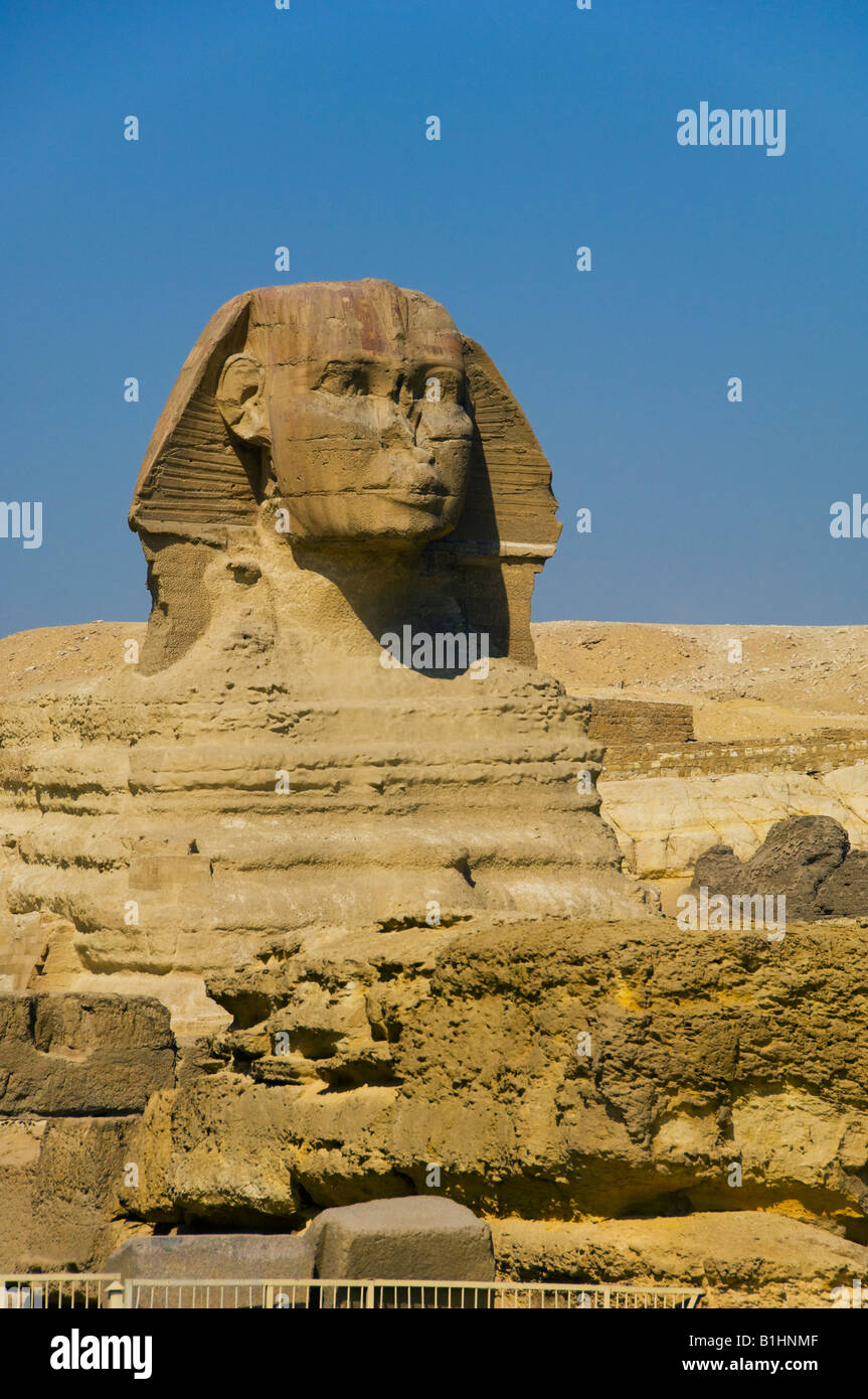 The sphinx on the Giza plateau Egypt Stock Photo - Alamy