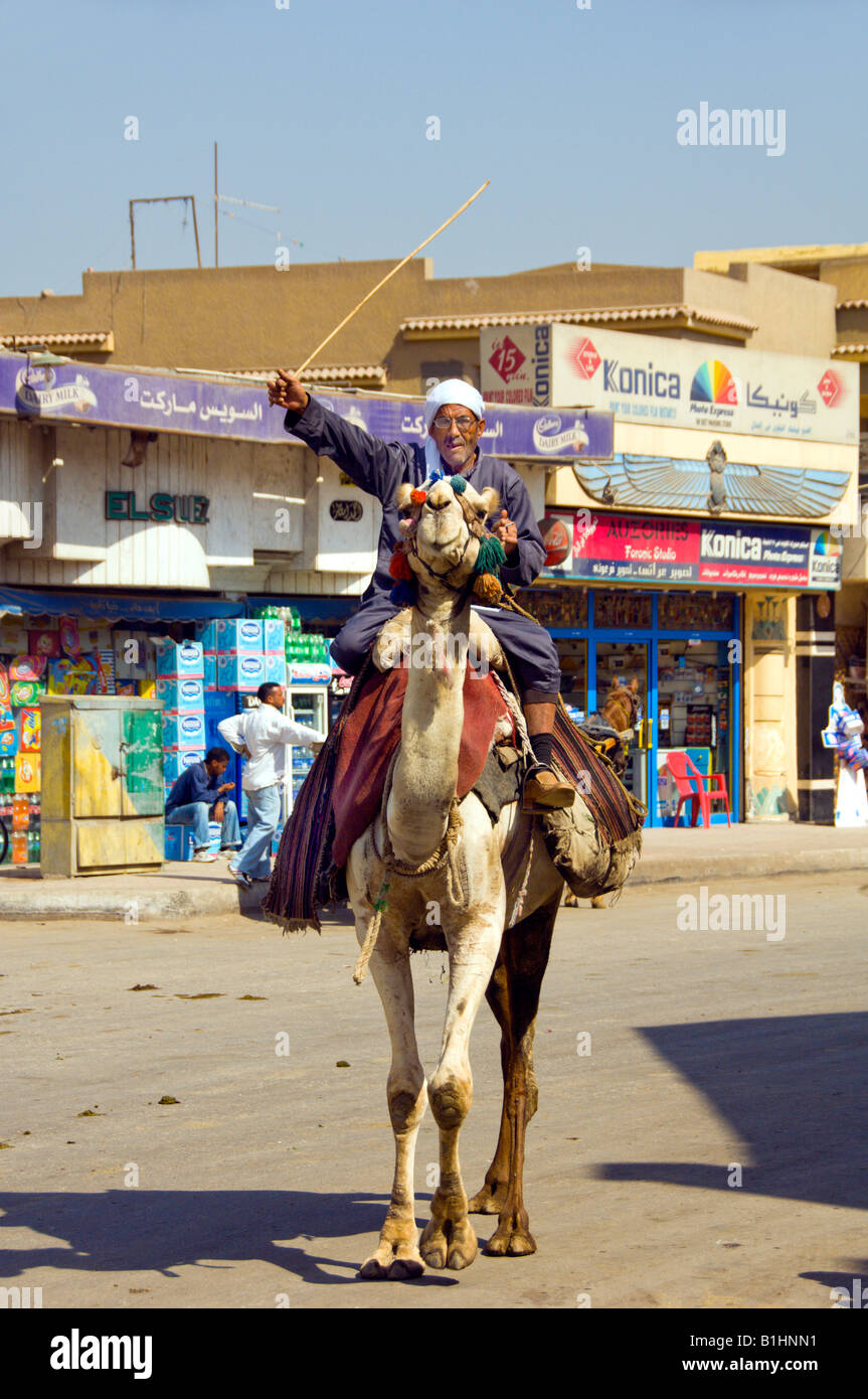 A camel and rider coming down the street in Giza Egypt Stock Photo - Alamy