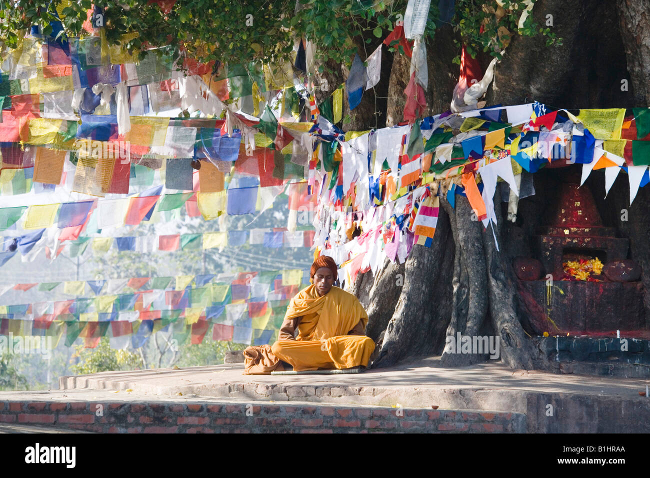 Maya devi temple lumbini nepal hi-res stock photography and images - Alamy
