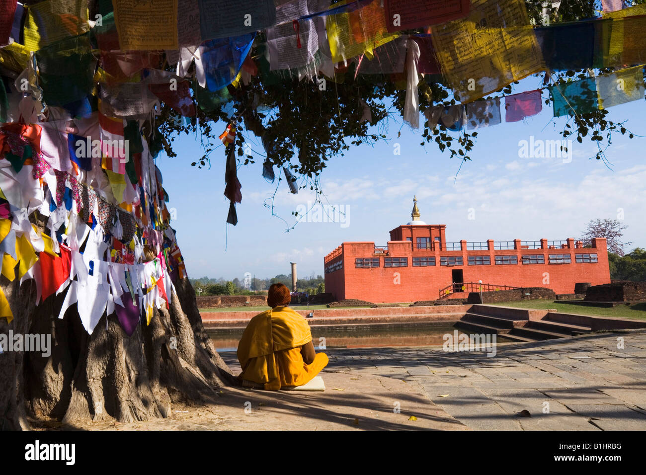Rear view of a monk sitting under a Bodhi tree, Maya Devi Temple ...