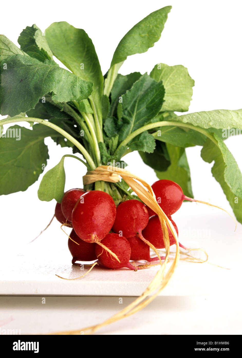 Small Radish (Raphanus sativus var. sativus Stock Photo - Alamy
