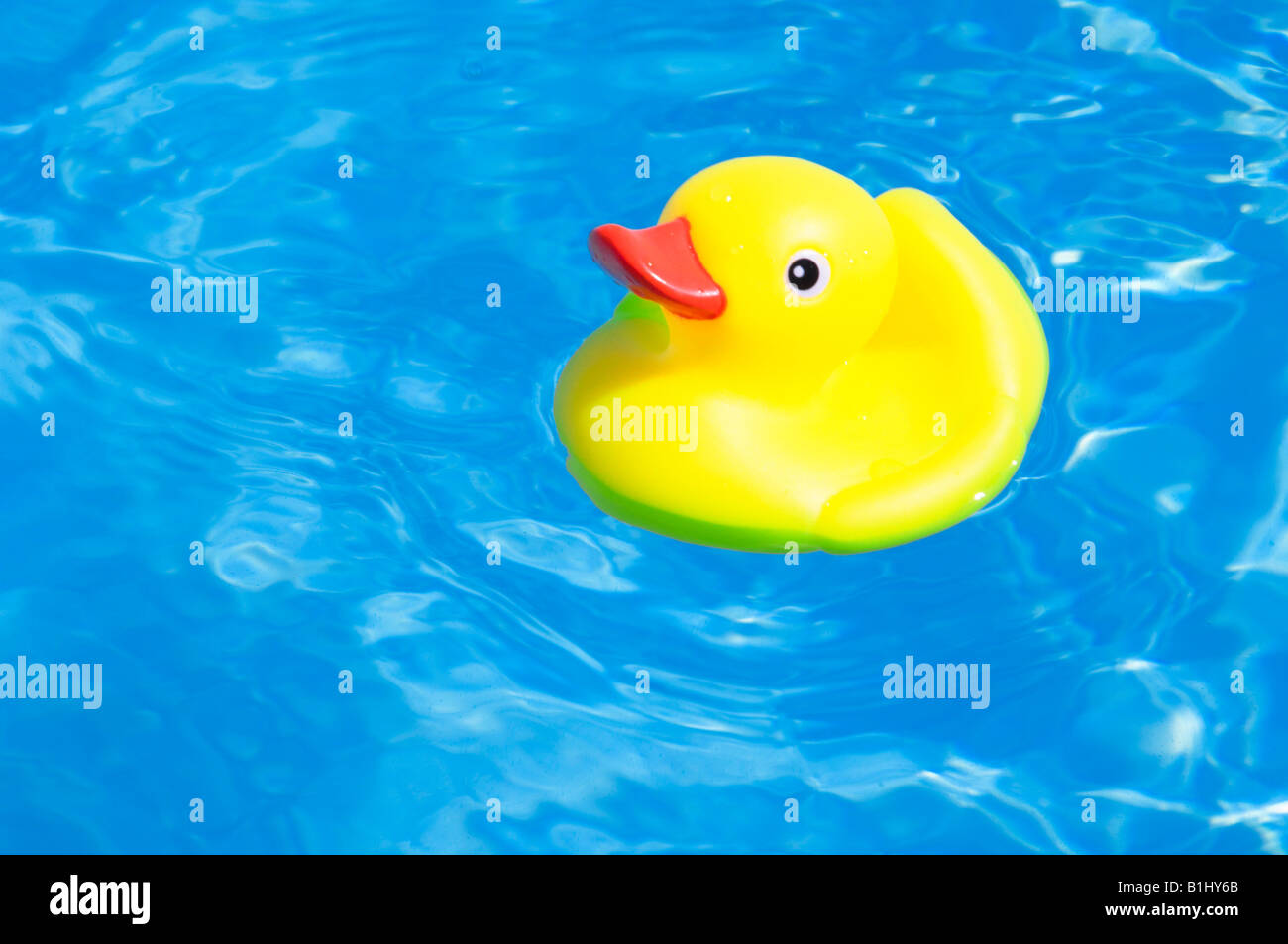 Yellow rubber duck Stock Photo - Alamy