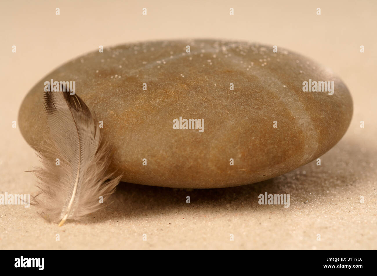 Stone and feather in the sand Stock Photo - Alamy