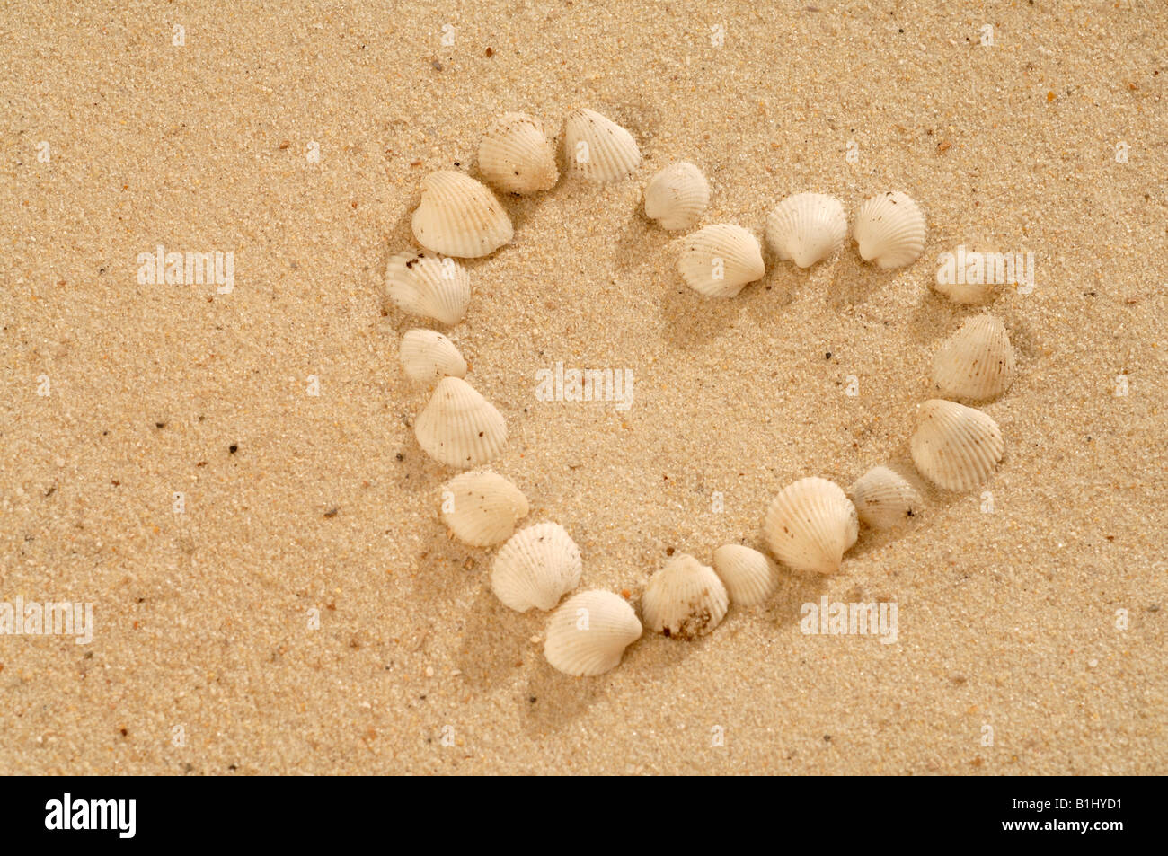 Heart of mussel shells hi-res stock photography and images - Alamy
