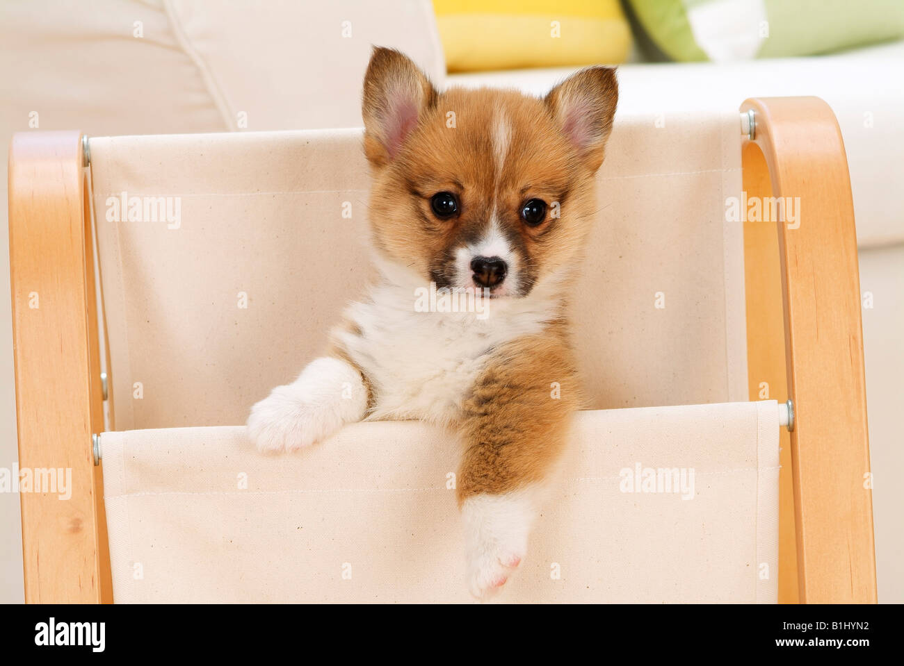Leg folding hi-res stock photography and images - Alamy