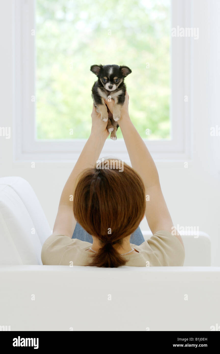 Rear view of a woman picking up a Chihuahua puppy Stock Photo - Alamy