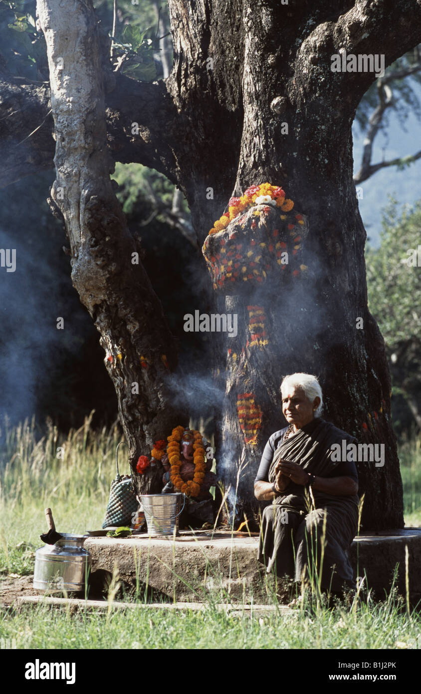 Indian woman praying tree hi-res stock photography and images - Alamy