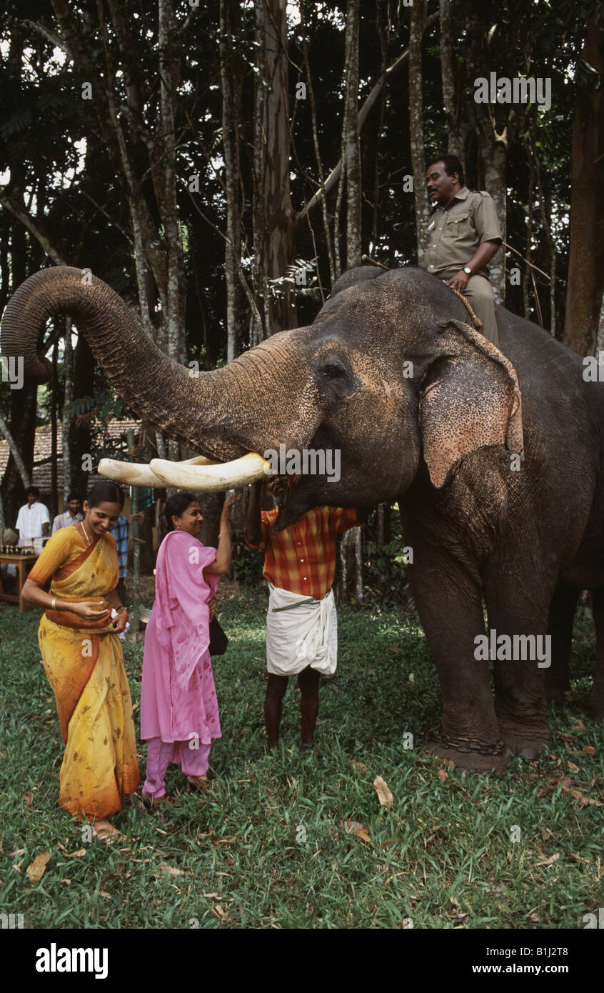 People with an elephant at a traditional Elephant Day celebration ...